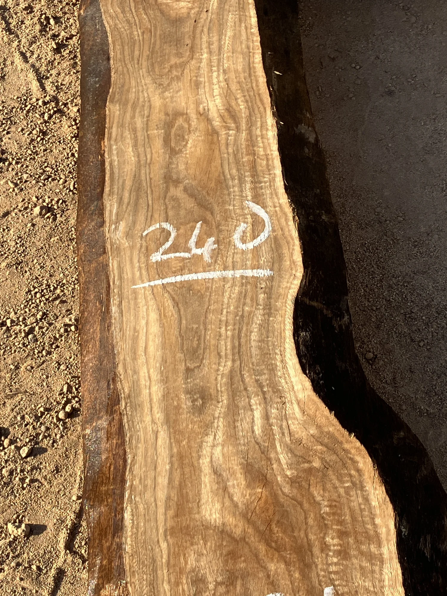 Sheoak, Marri, Tuart, Timber Slabs in Perth — The Fine Timber Company