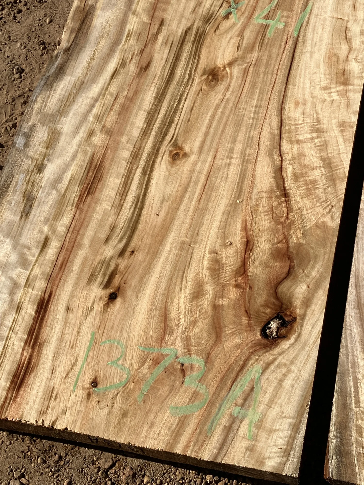 Sheoak, Marri, Tuart, Timber Slabs in Perth — The Fine Timber Company