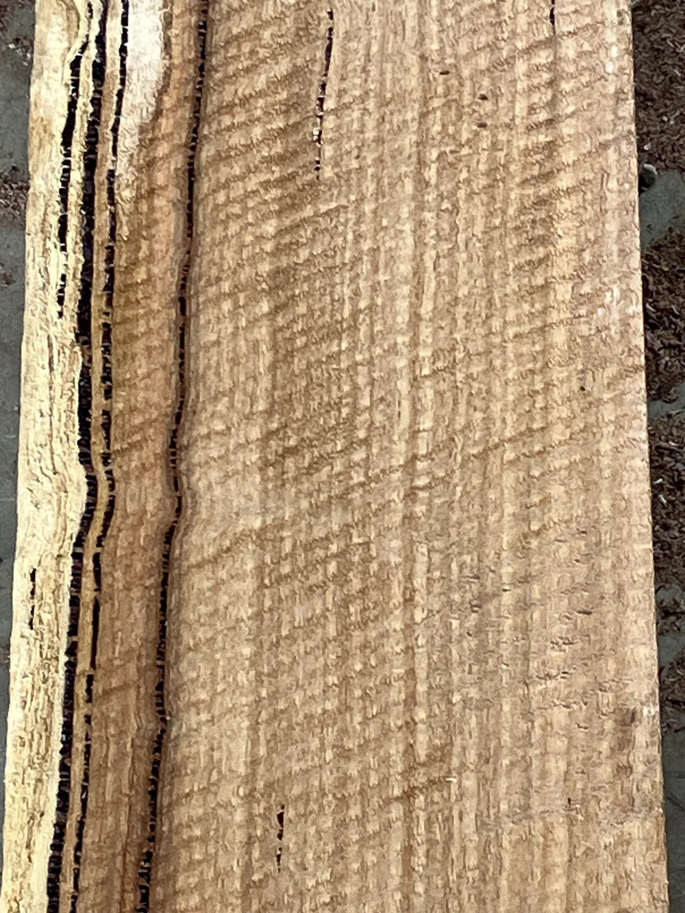 Sheoak, Marri, Tuart, Timber Slabs in Perth — The Fine Timber Company