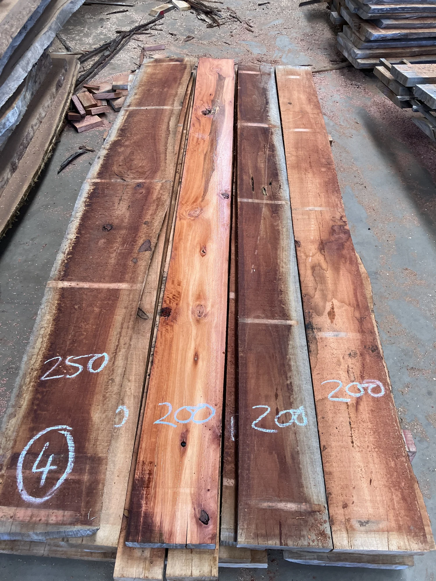 Sheoak, Marri, Tuart, Timber Slabs in Perth — The Fine Timber Company