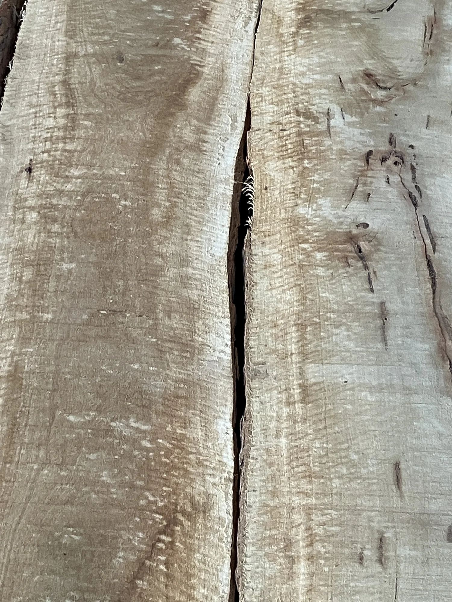 Sheoak, Marri, Tuart, Timber Slabs in Perth — The Fine Timber Company