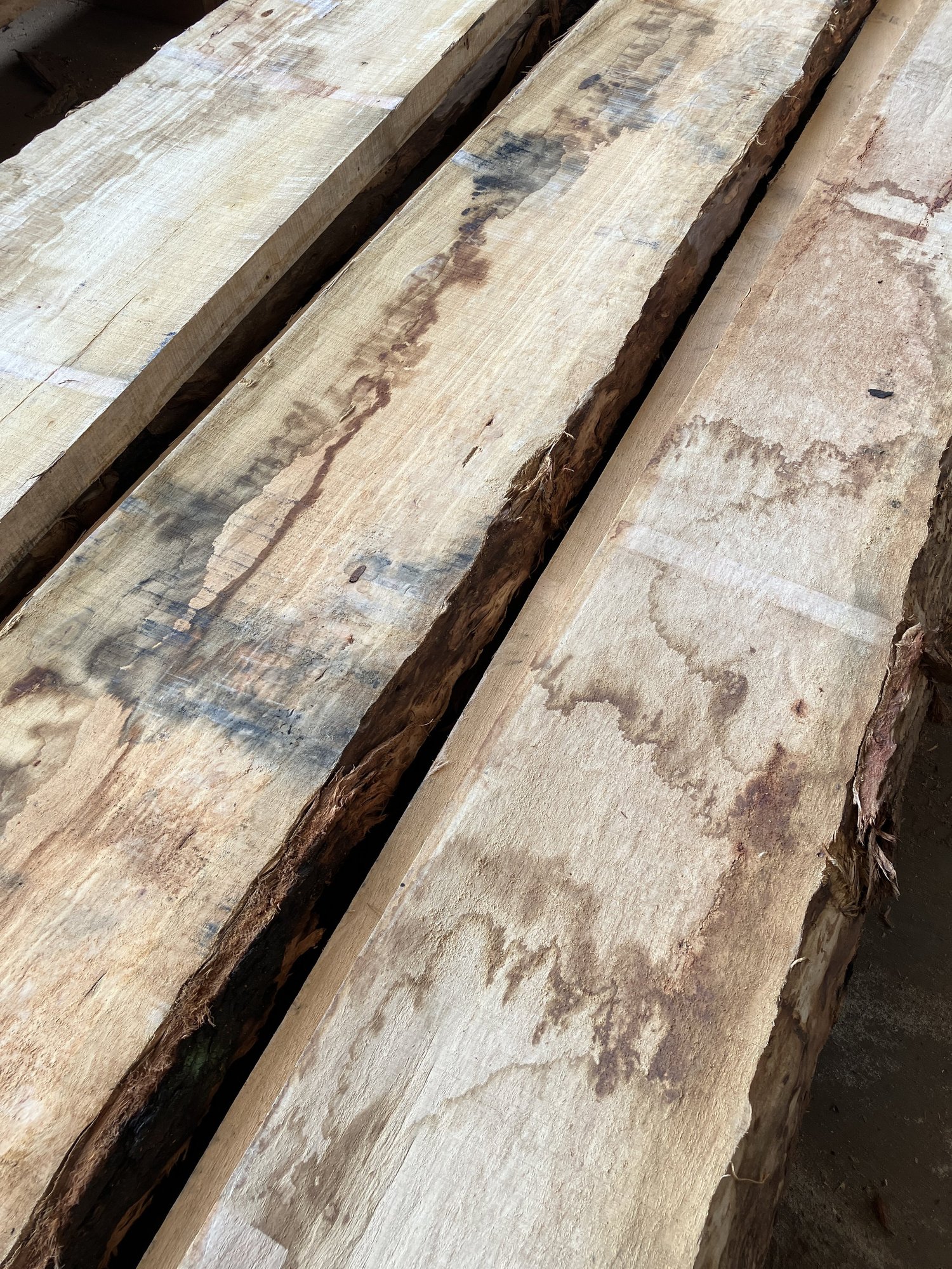 Sheoak, Marri, Tuart, Timber Slabs in Perth — The Fine Timber Company