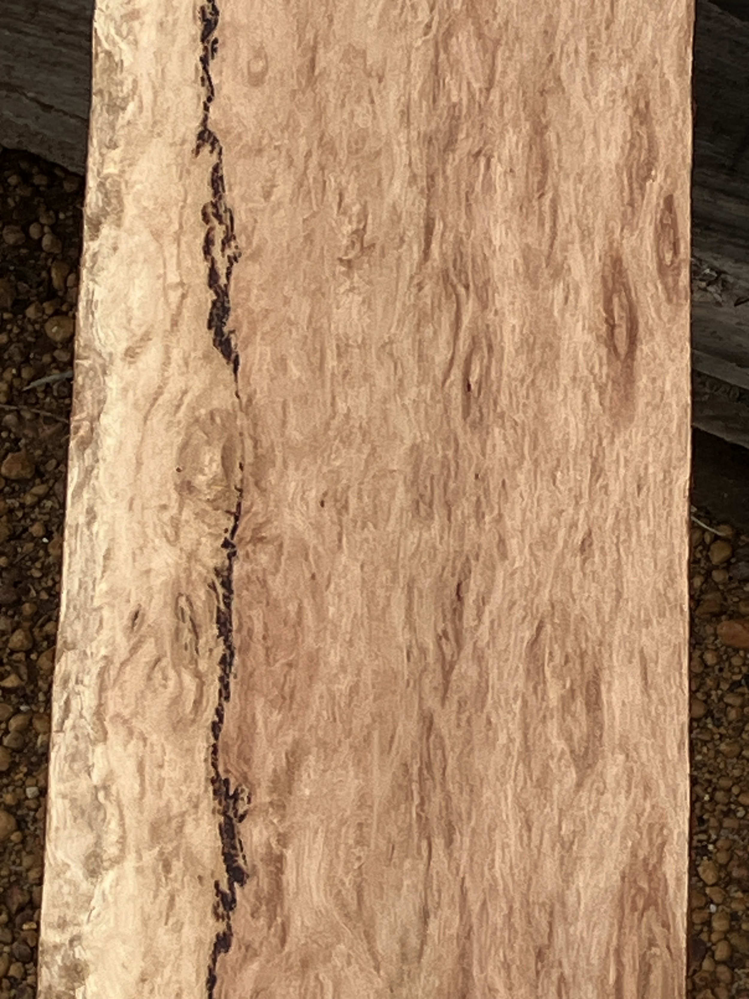 Sheoak, Marri, Tuart, Timber Slabs in Perth — The Fine Timber Company