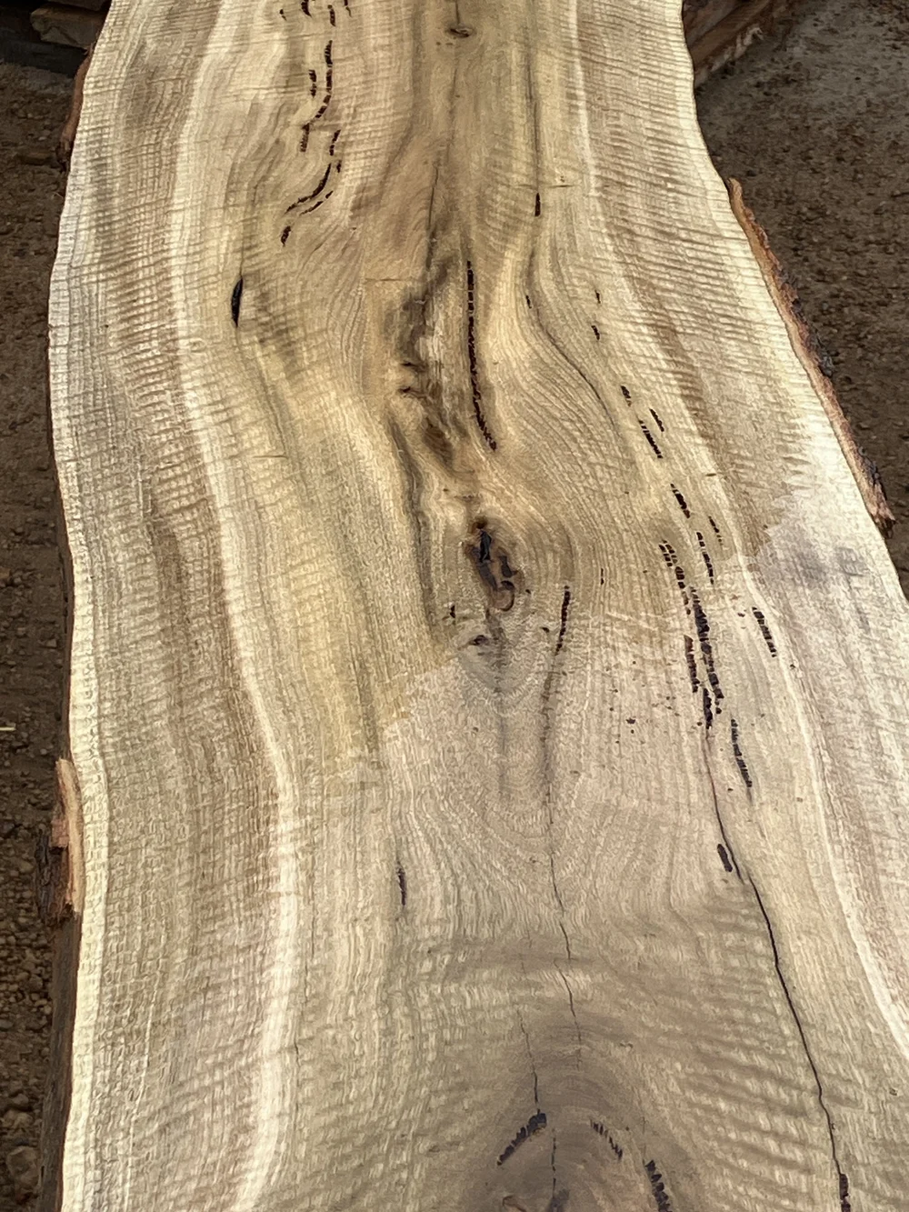 Sheoak, Marri, Tuart, Timber Slabs in Perth — The Fine Timber Company