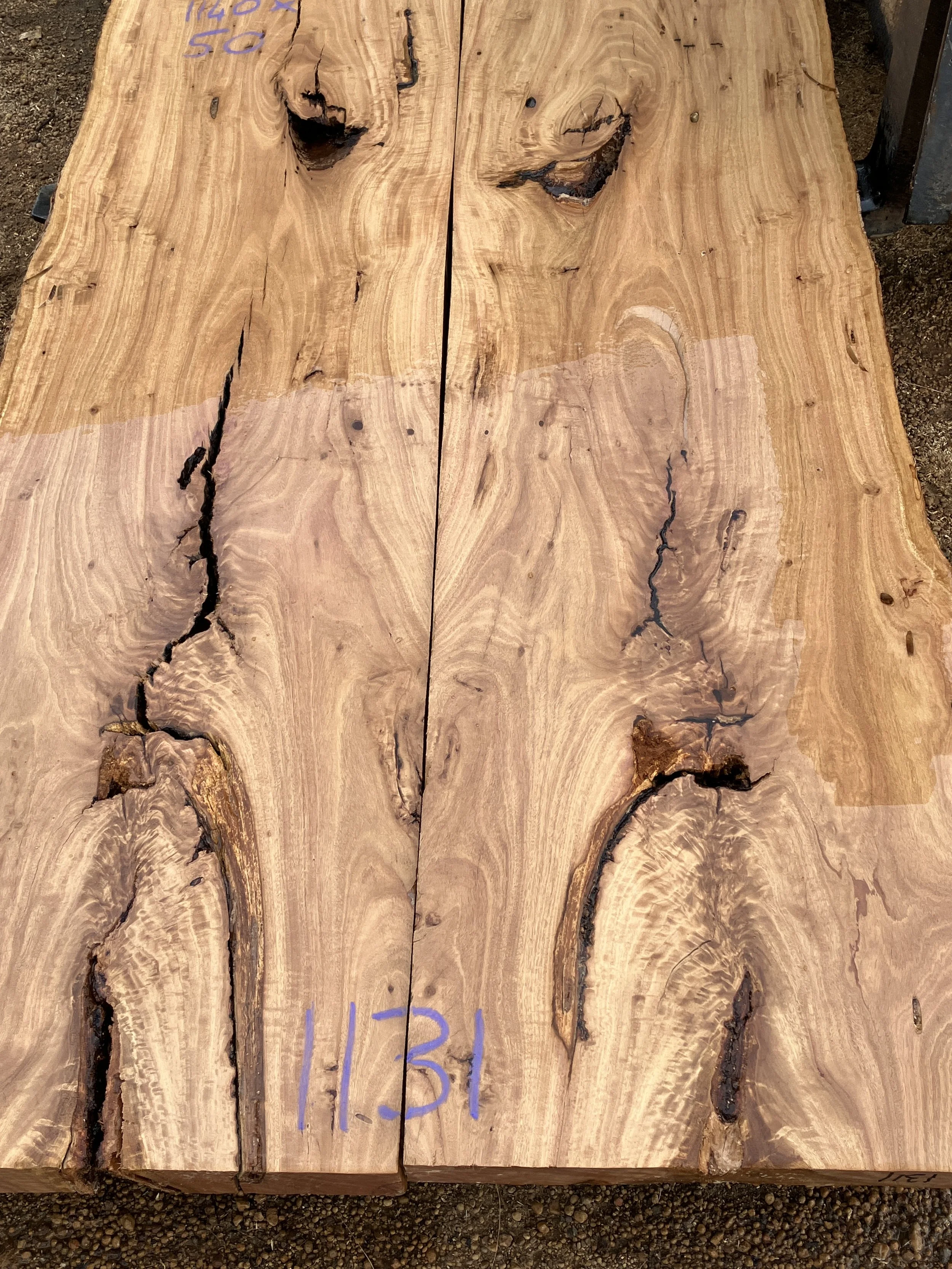 Sheoak, Marri, Tuart, Timber Slabs in Perth — The Fine Timber Company
