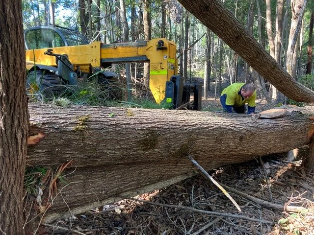 About — The Fine Timber Company