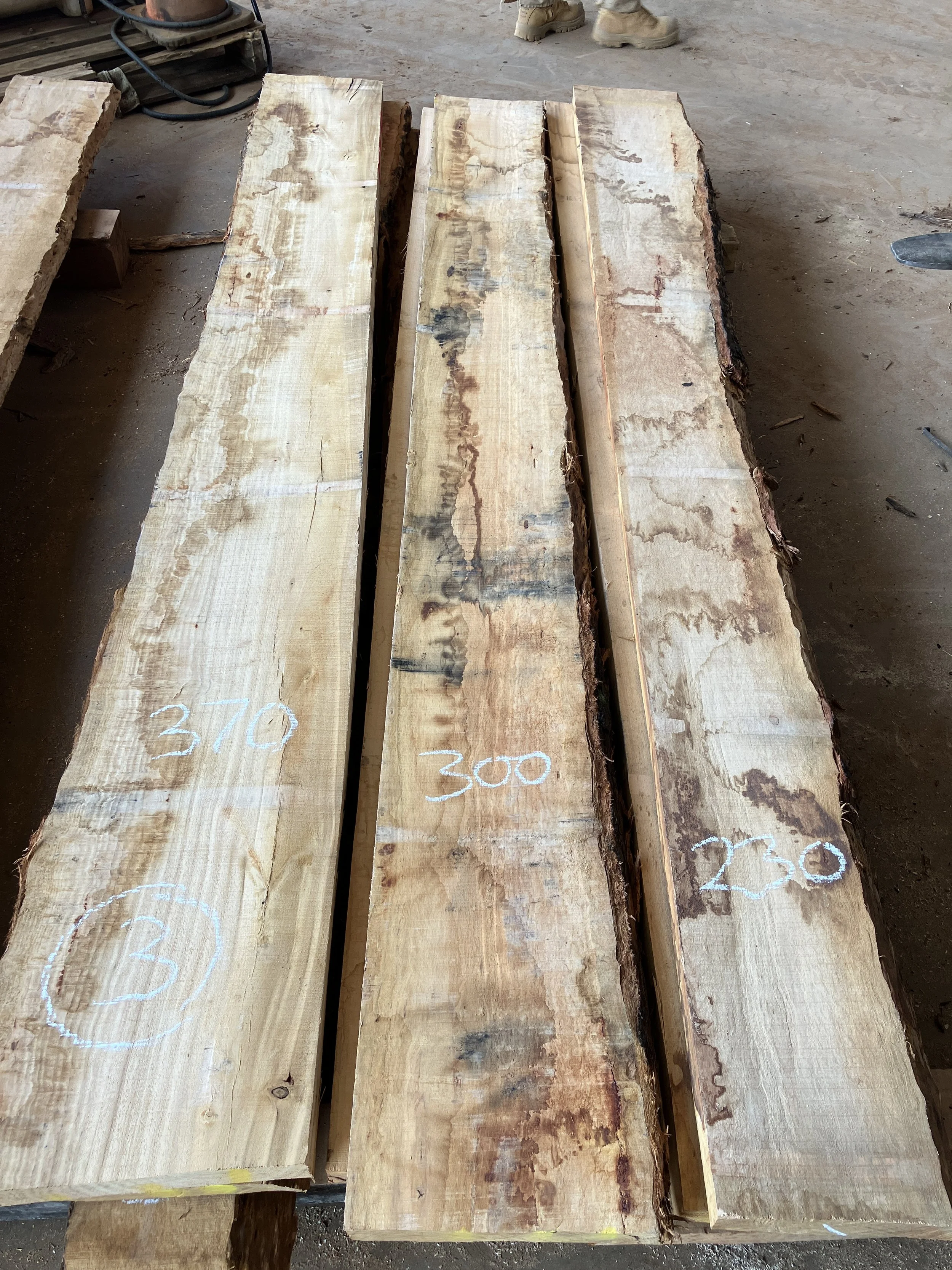 Sheoak, Marri, Tuart, Timber Slabs in Perth — The Fine Timber Company