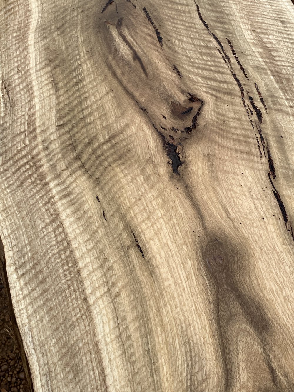 Sheoak, Marri, Tuart, Timber Slabs in Perth — The Fine Timber Company