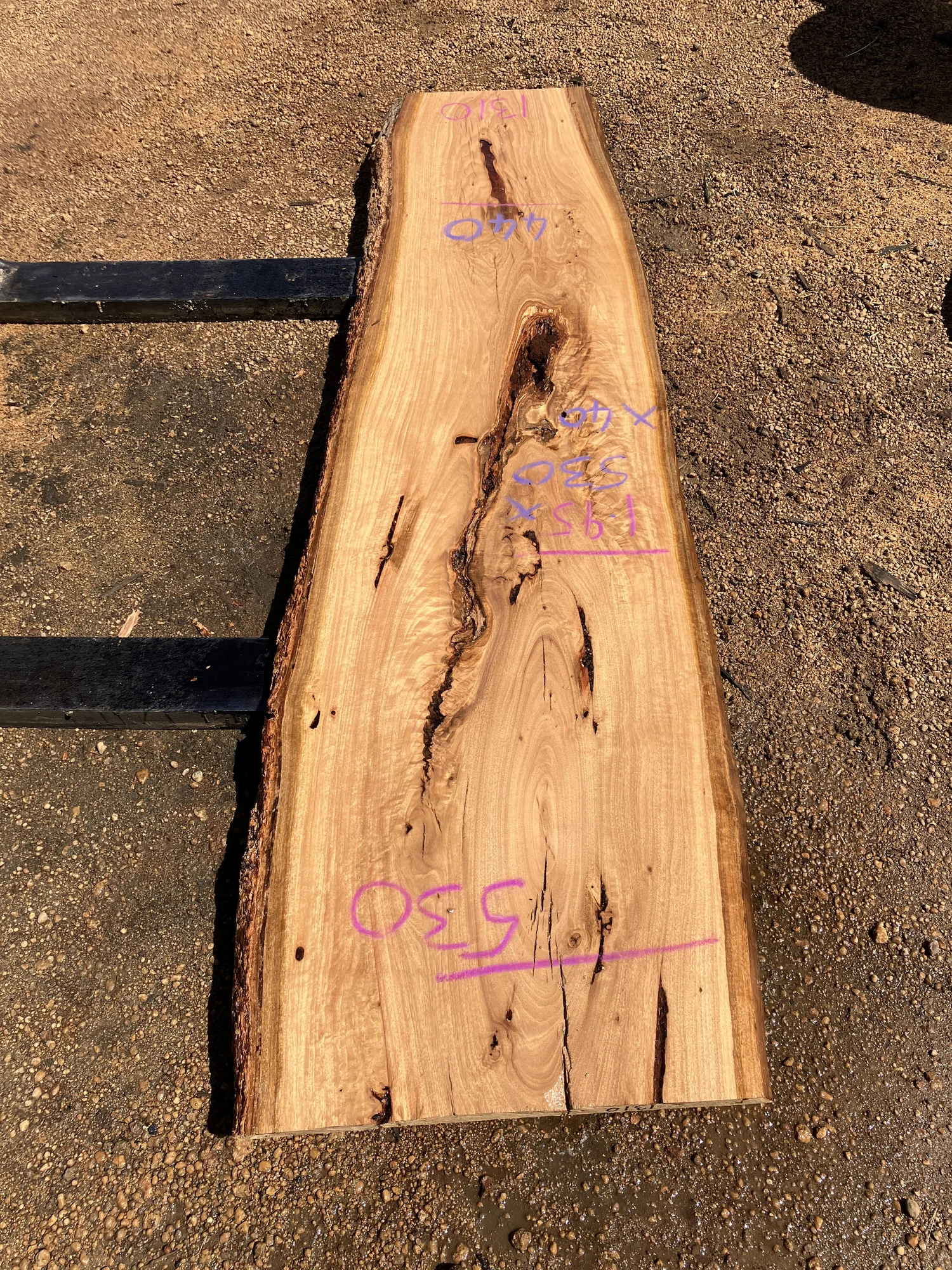 Sheoak, Marri, Tuart, Timber Slabs in Perth — The Fine Timber Company