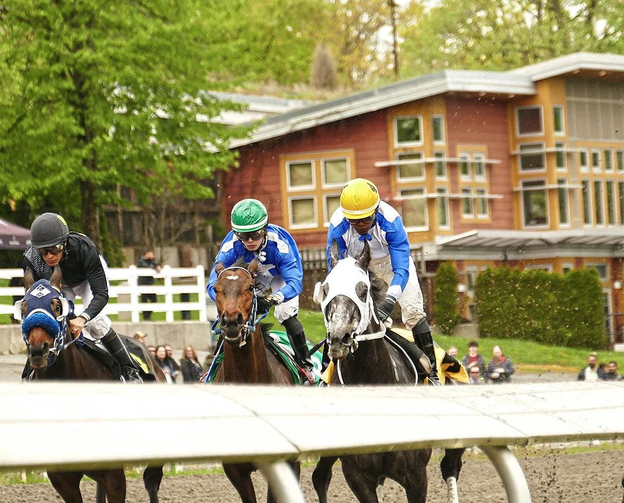 What's New — BC RACEBOOK