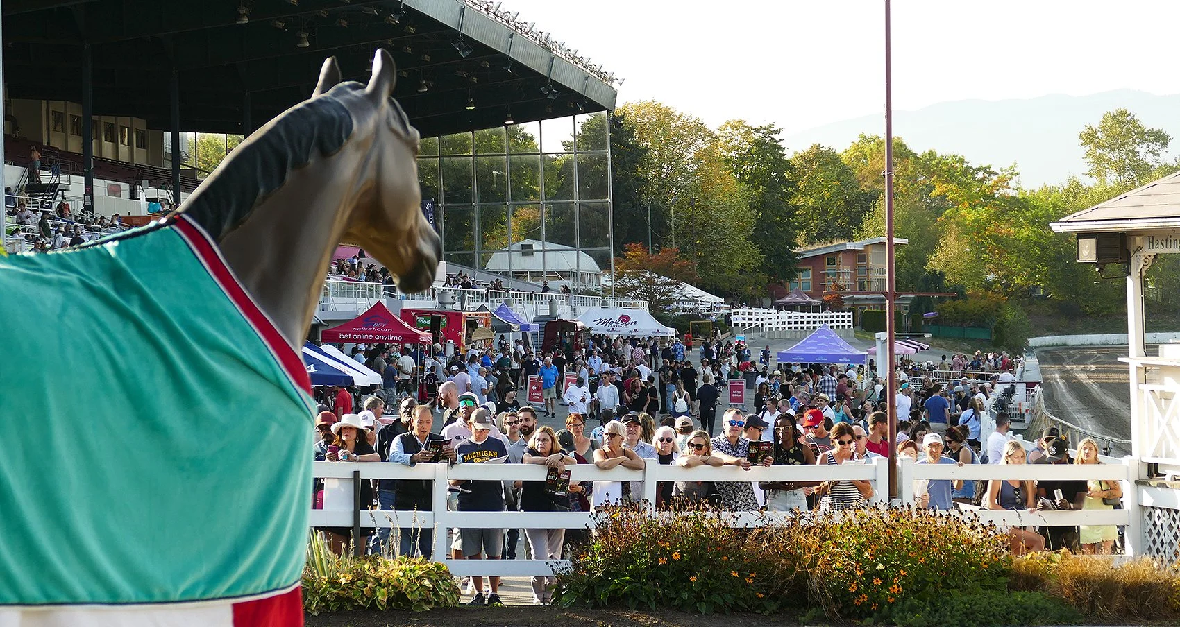 2023 HASTINGS RACECOURSE SEASON ENDS WITH ENCOURAGING LOOK AHEAD — BC ...