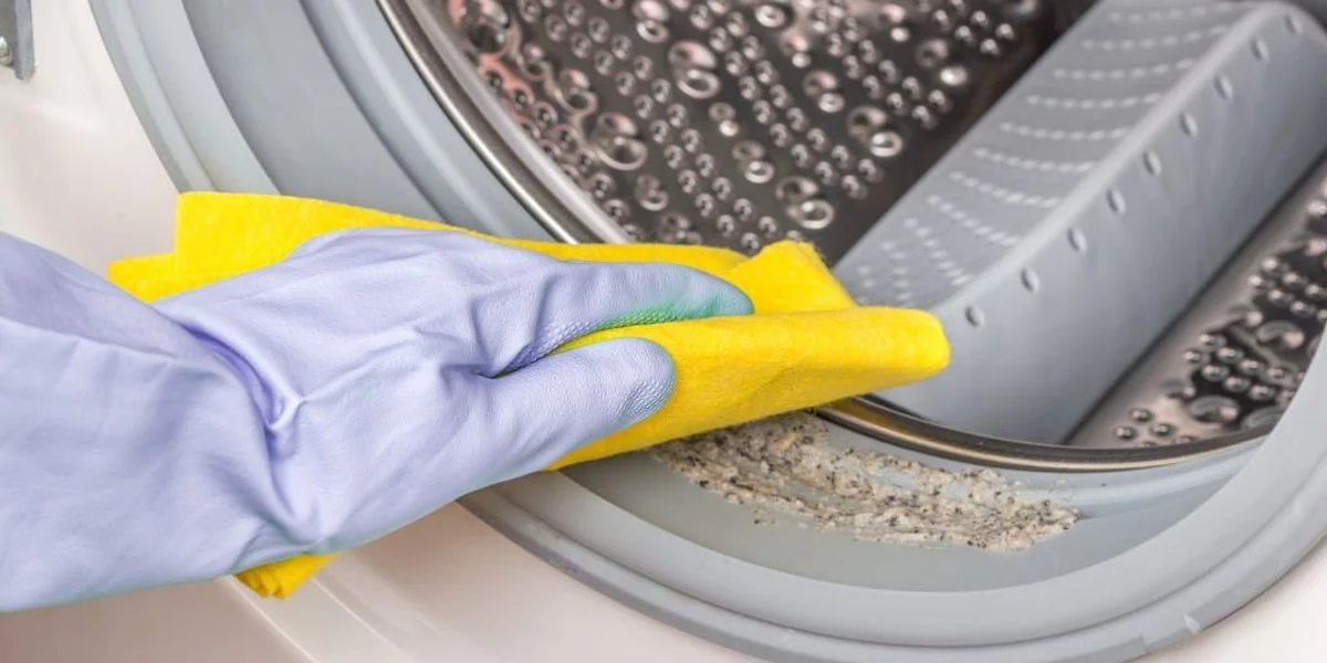 Proven Ways to Make Your Laundry Smell Good — NimNim