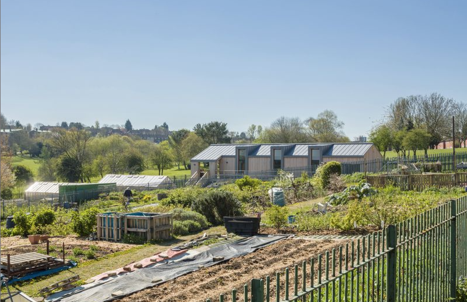 Our Space — Good Food Matters