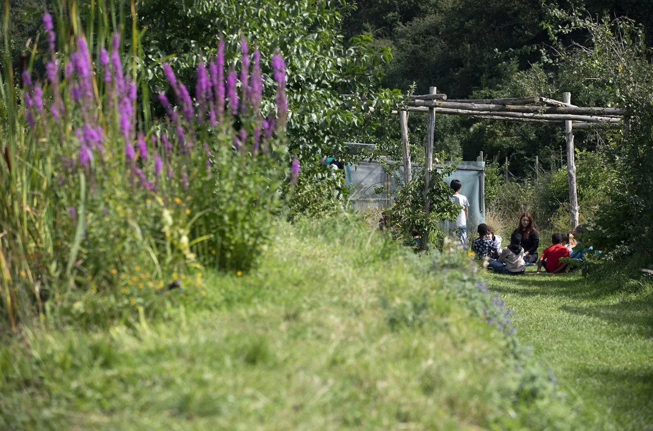 Our Work — Good Food Matters