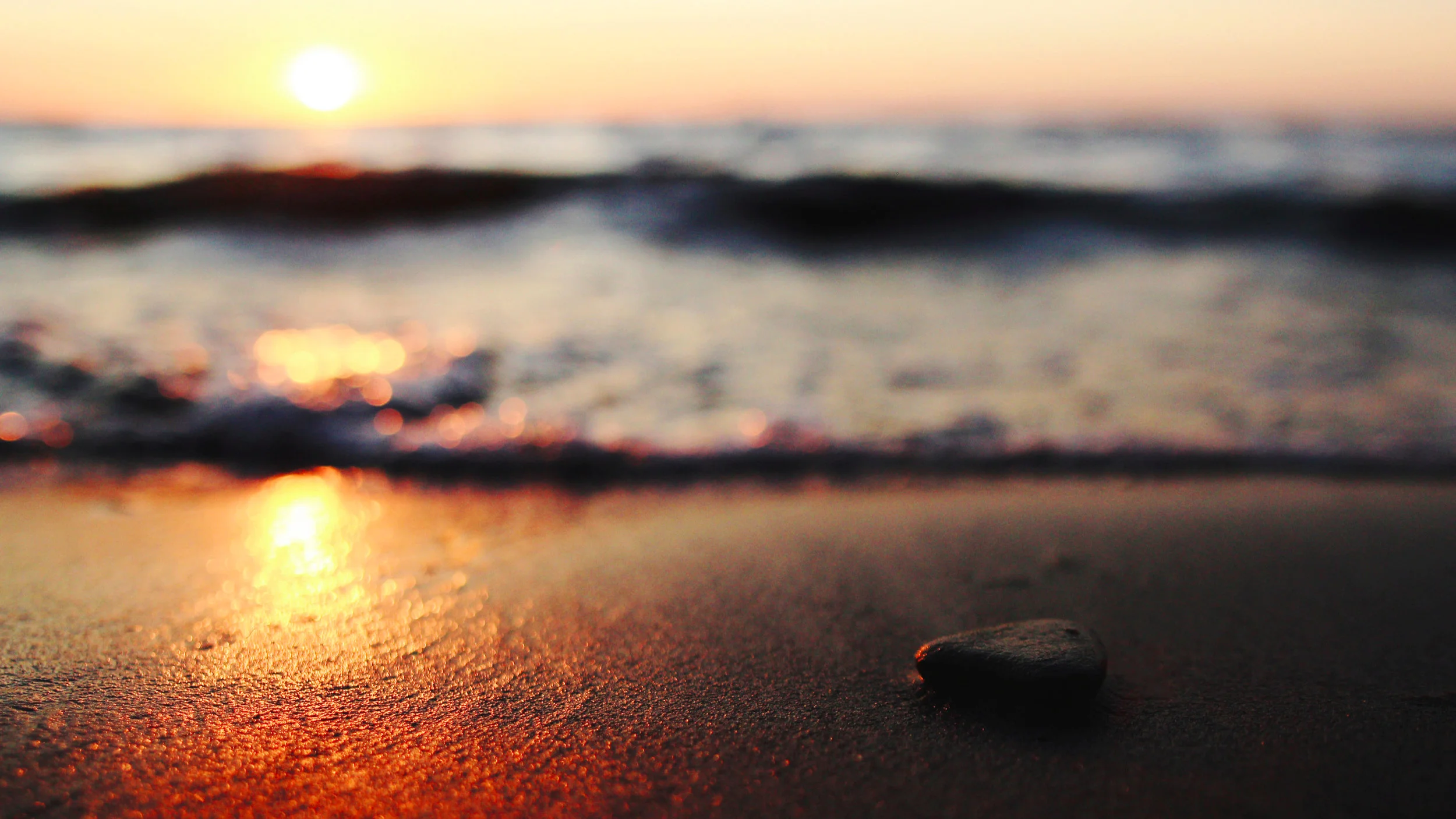 Book your LBI Vacation — The Sea Shell Resort & Beach Club - Long Beach ...