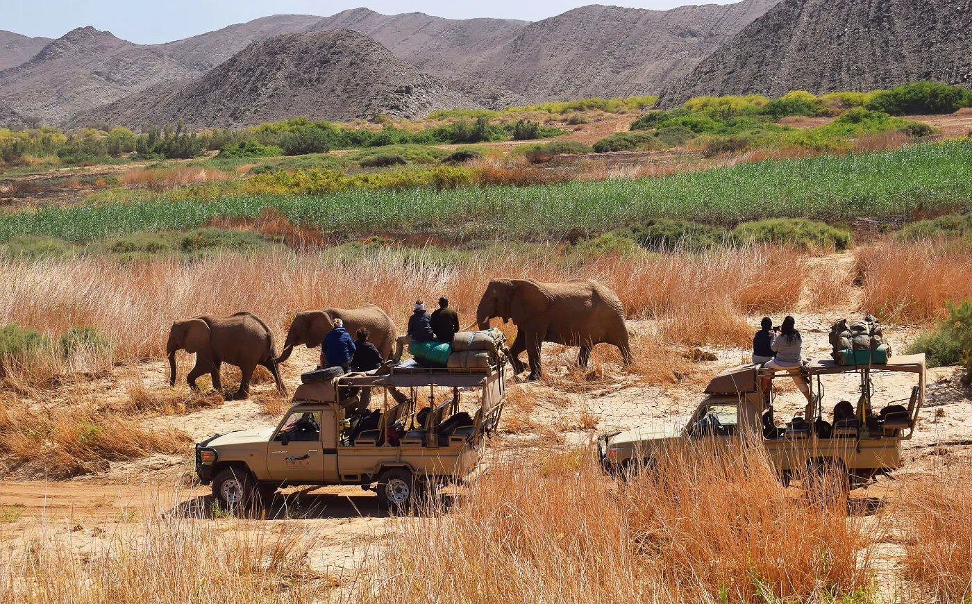 Volunteer with Elephants in Namibia, Africa | Elephant-Human Relations Aid