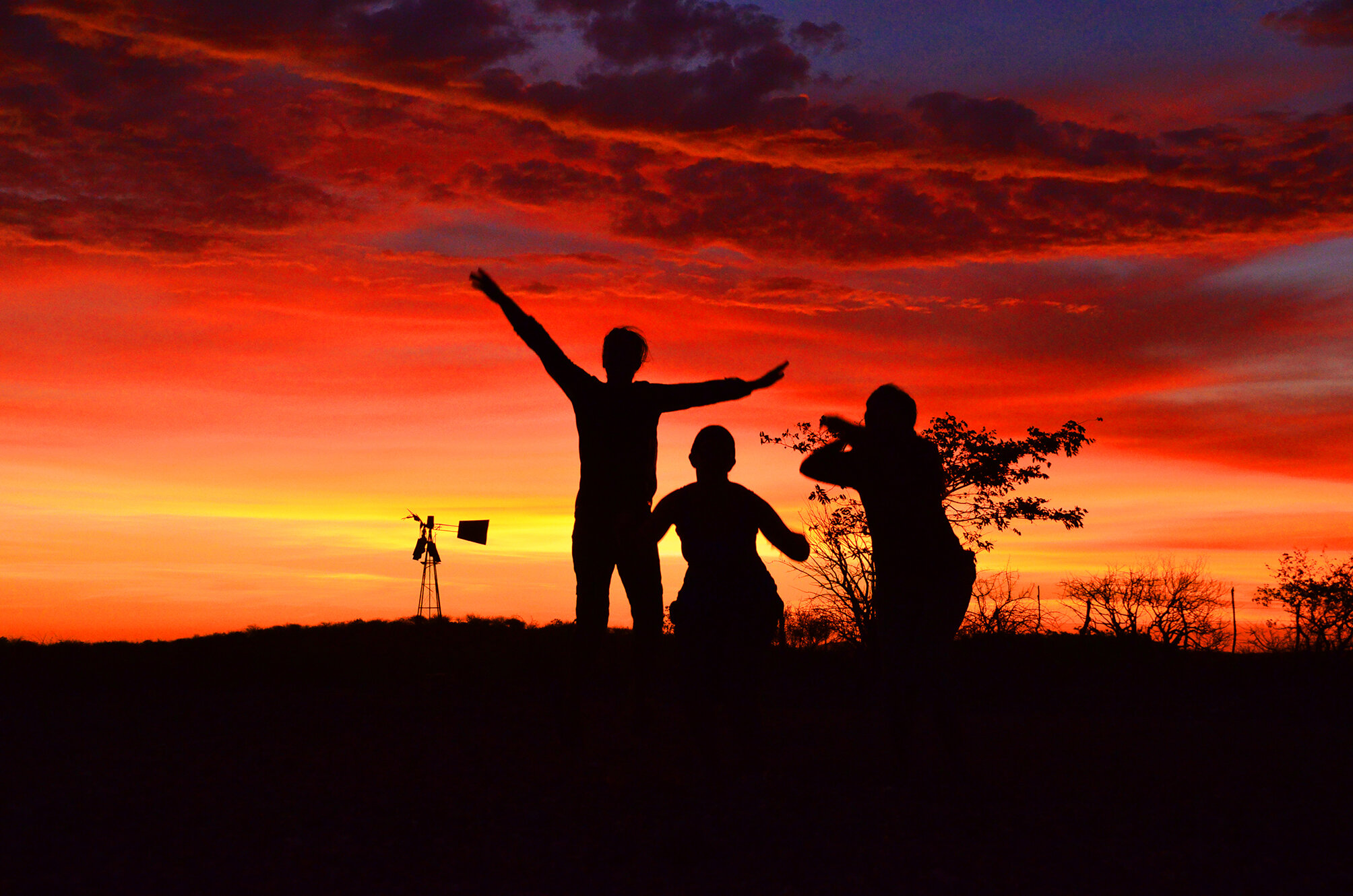 Volunteer with Elephants in Namibia, Africa | Elephant-Human Relations Aid