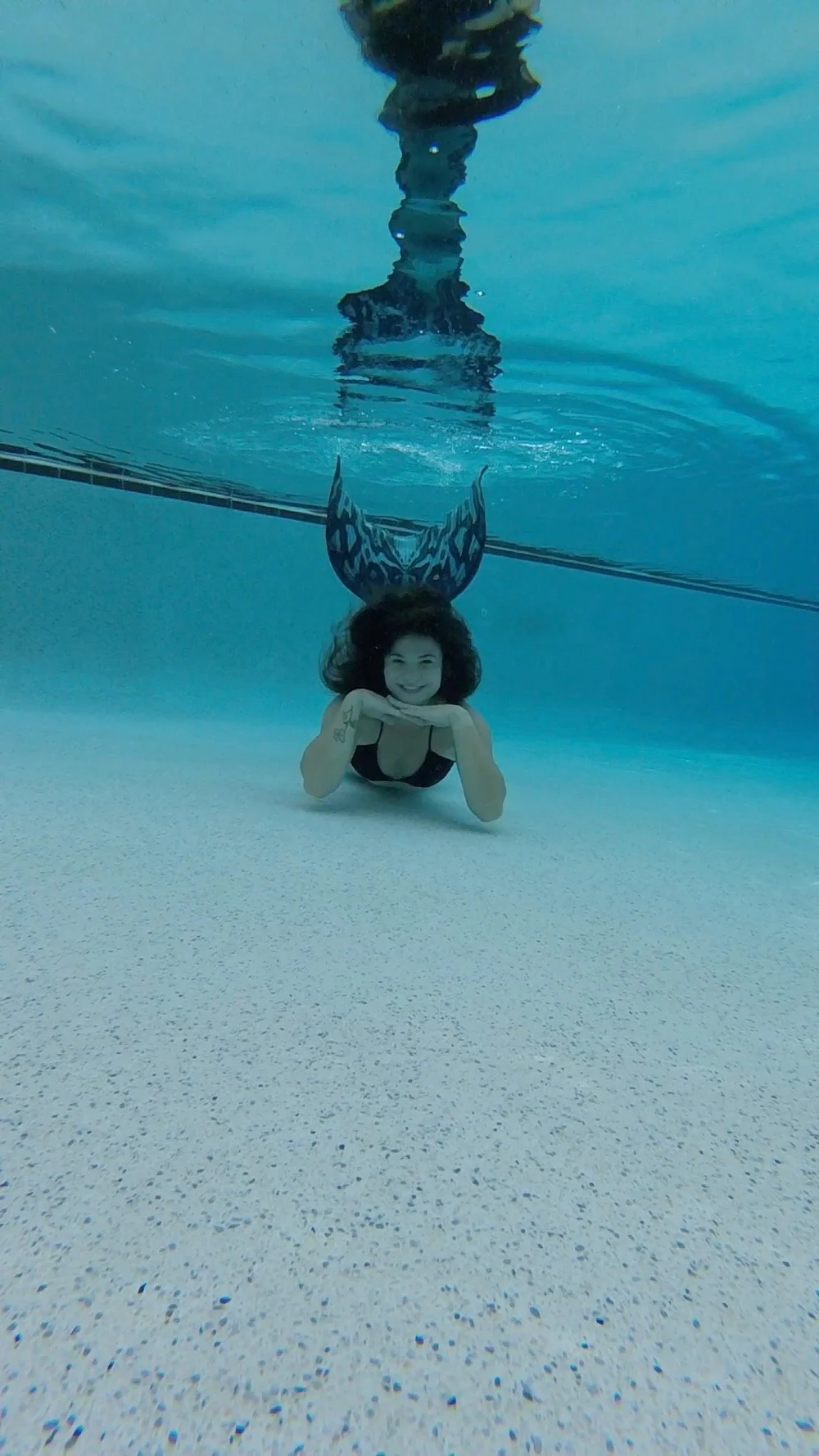 Mountains to Seas Adventures - Diving, Boating, Snorkeling, Gear ...