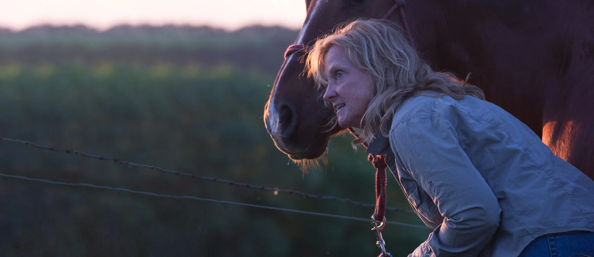 Rocking M Farm Store