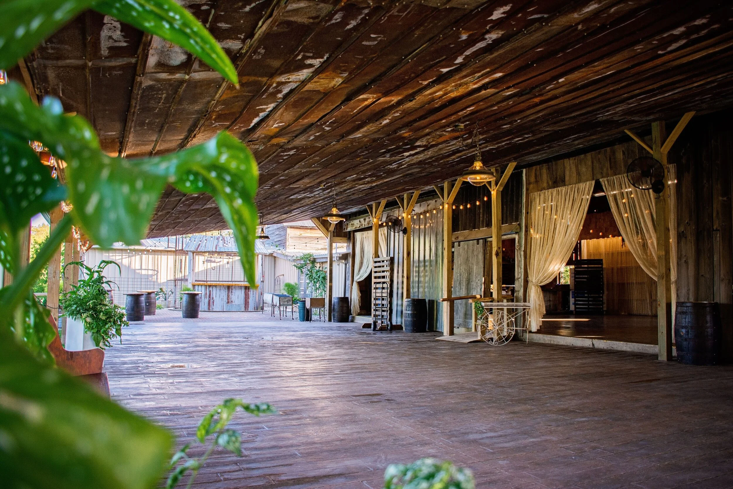 The Palm Tree Barn