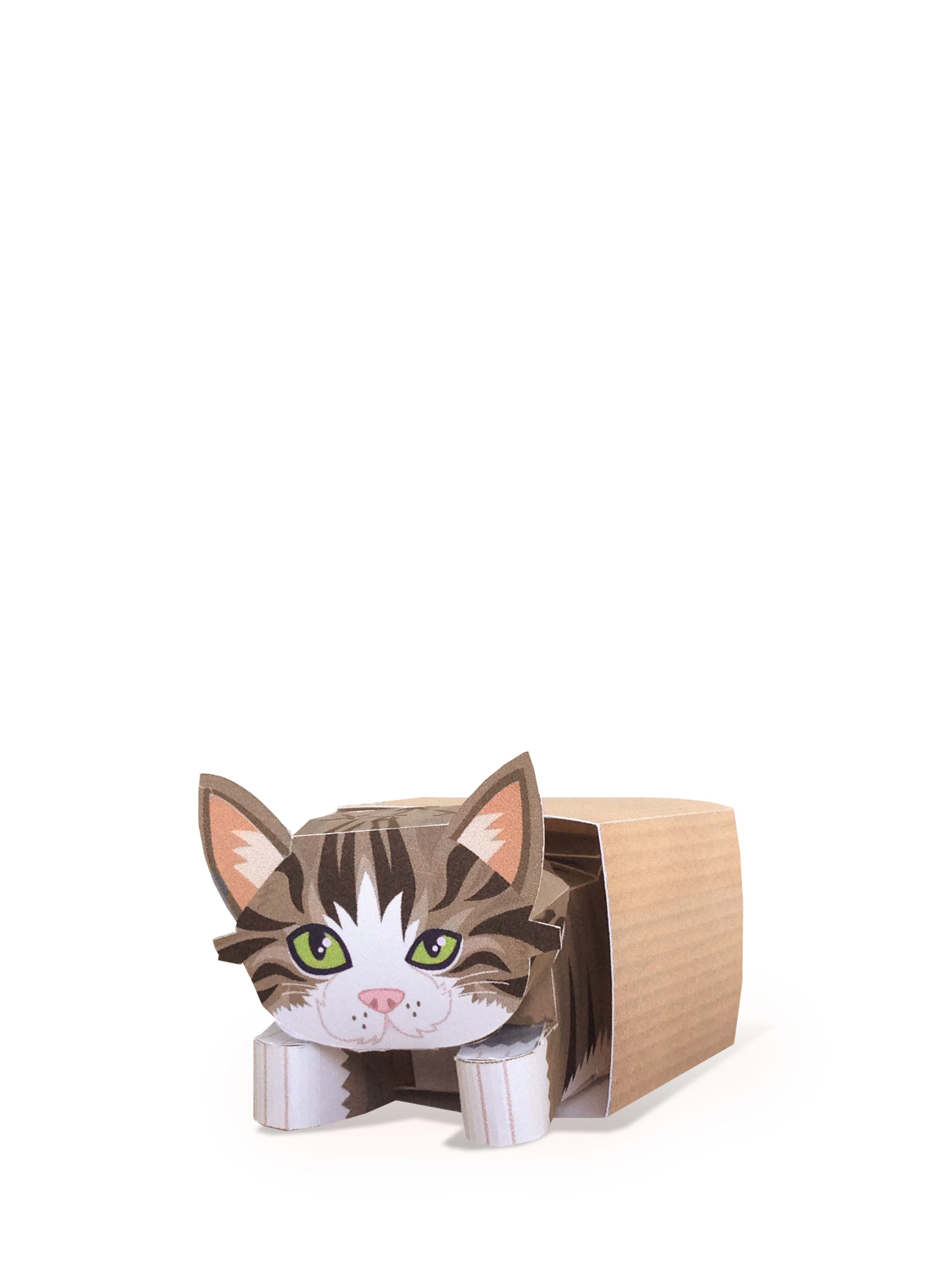 Maru (and box) — PAPERMADE™ by PaperMade Greetings & Gifts – Fun ...