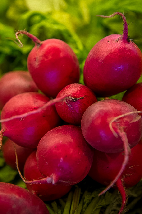 Curries Farm Market