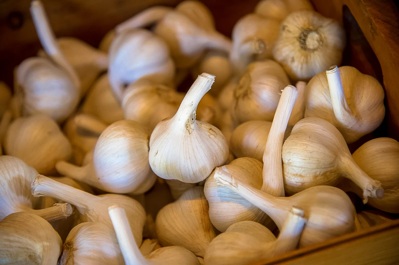 Curries Farm Market
