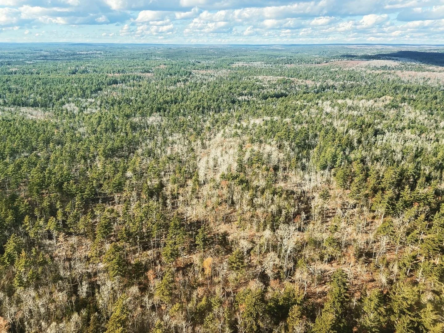 Working Forest Easements — Nova Scotia Working Woodlands Trust