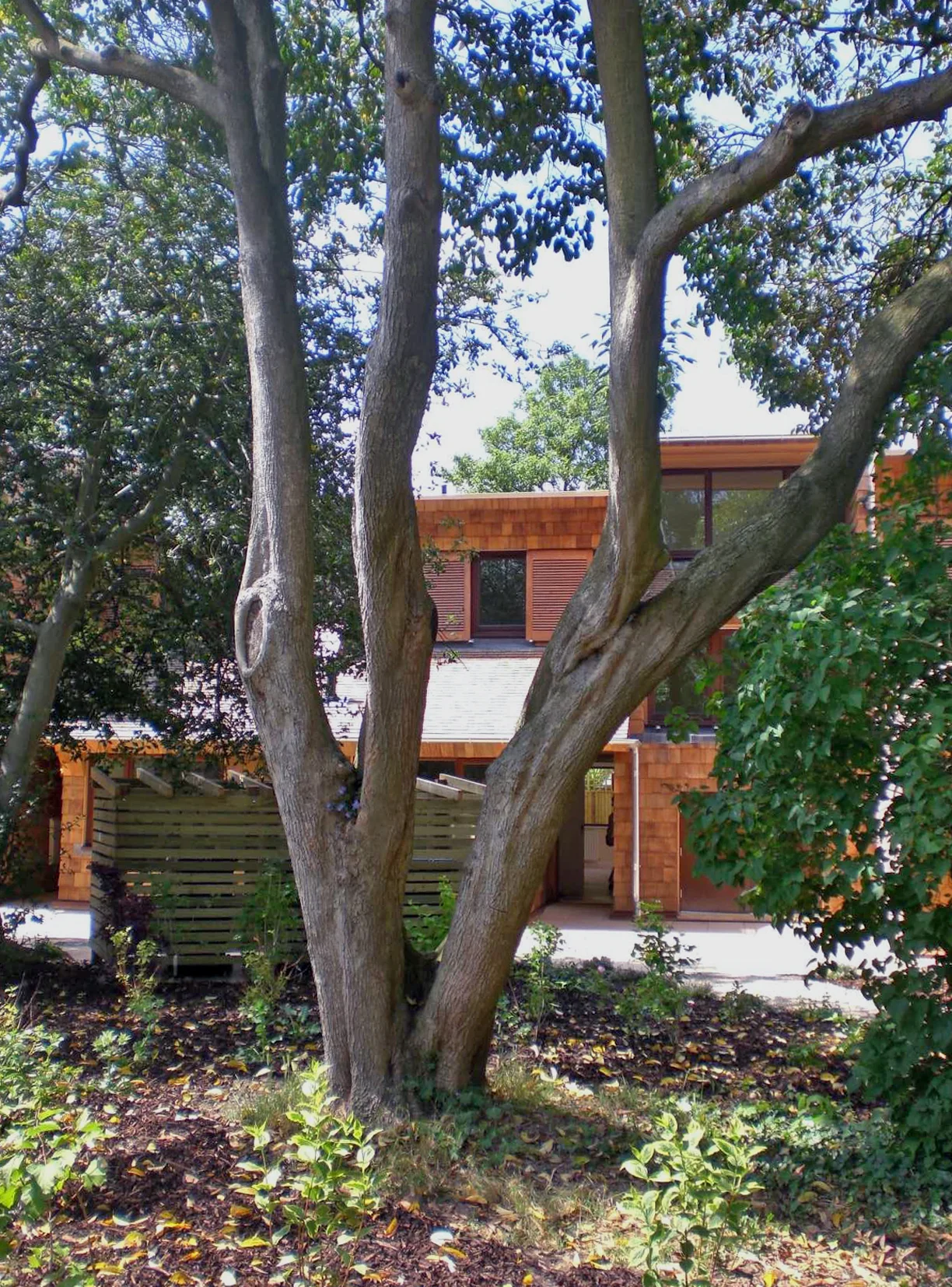 anne thorne architects llp