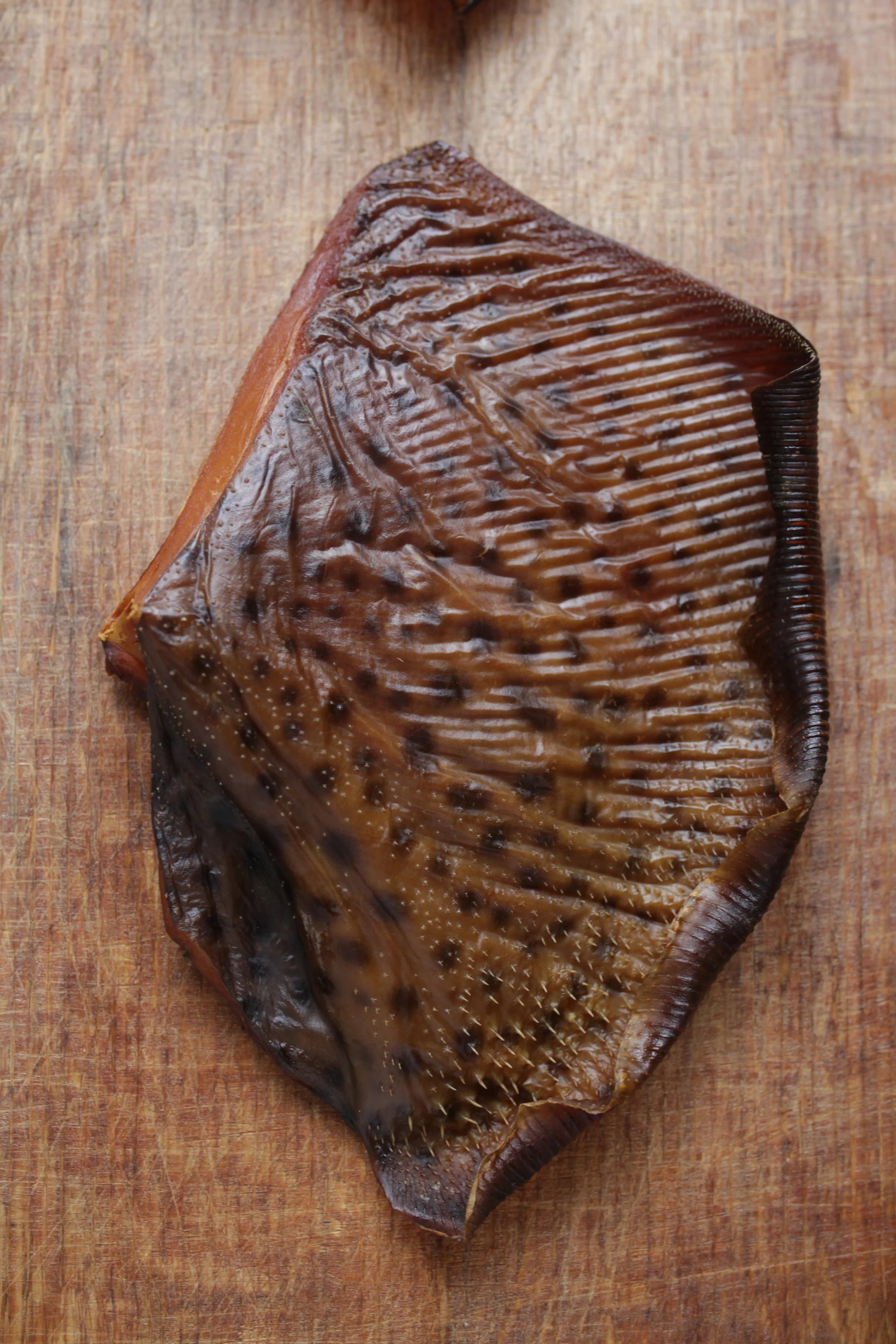 Purchase Wild smoked fish!