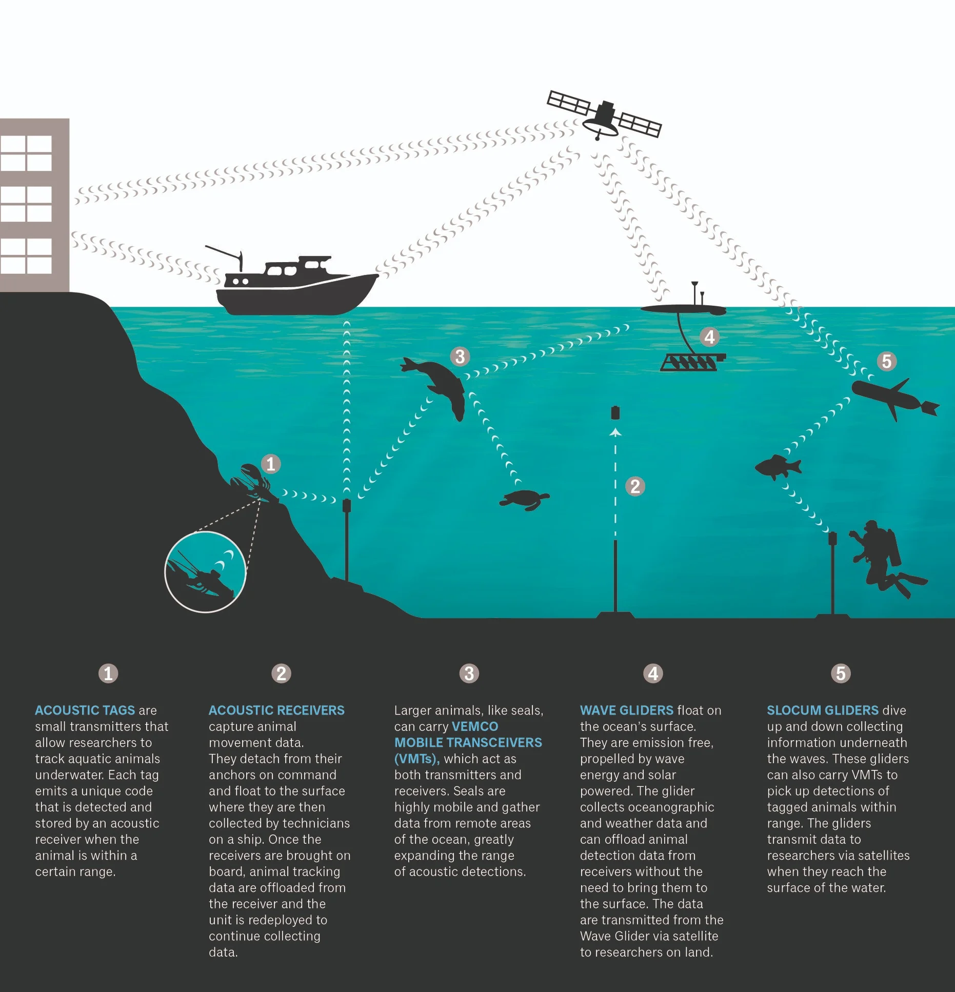 Ways of knowing — Apoqnmatulti'k