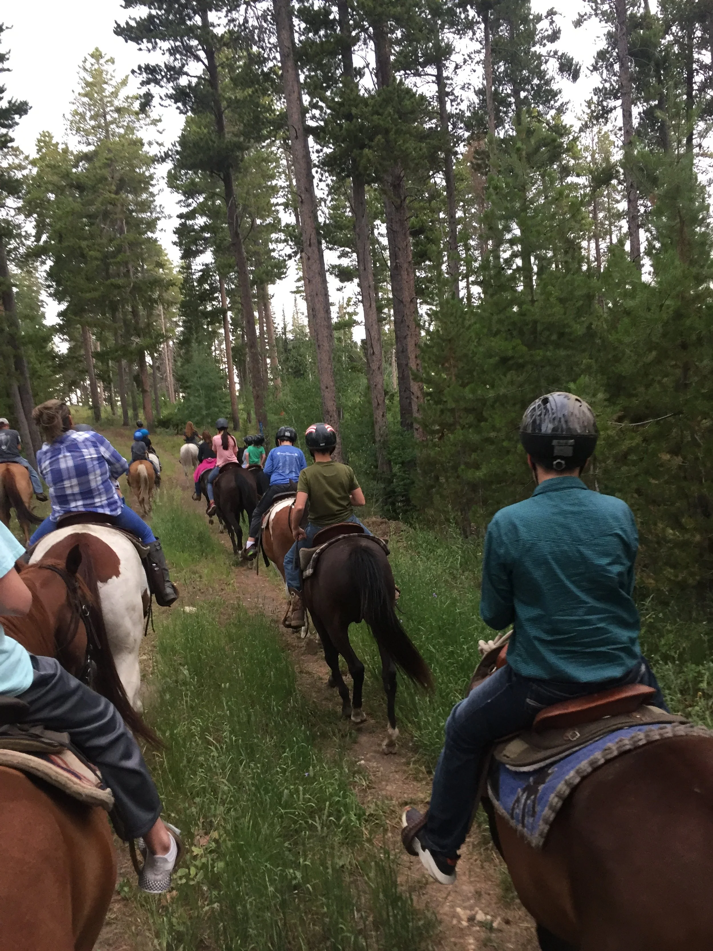 Summer Camp — Mills Spring Ranch