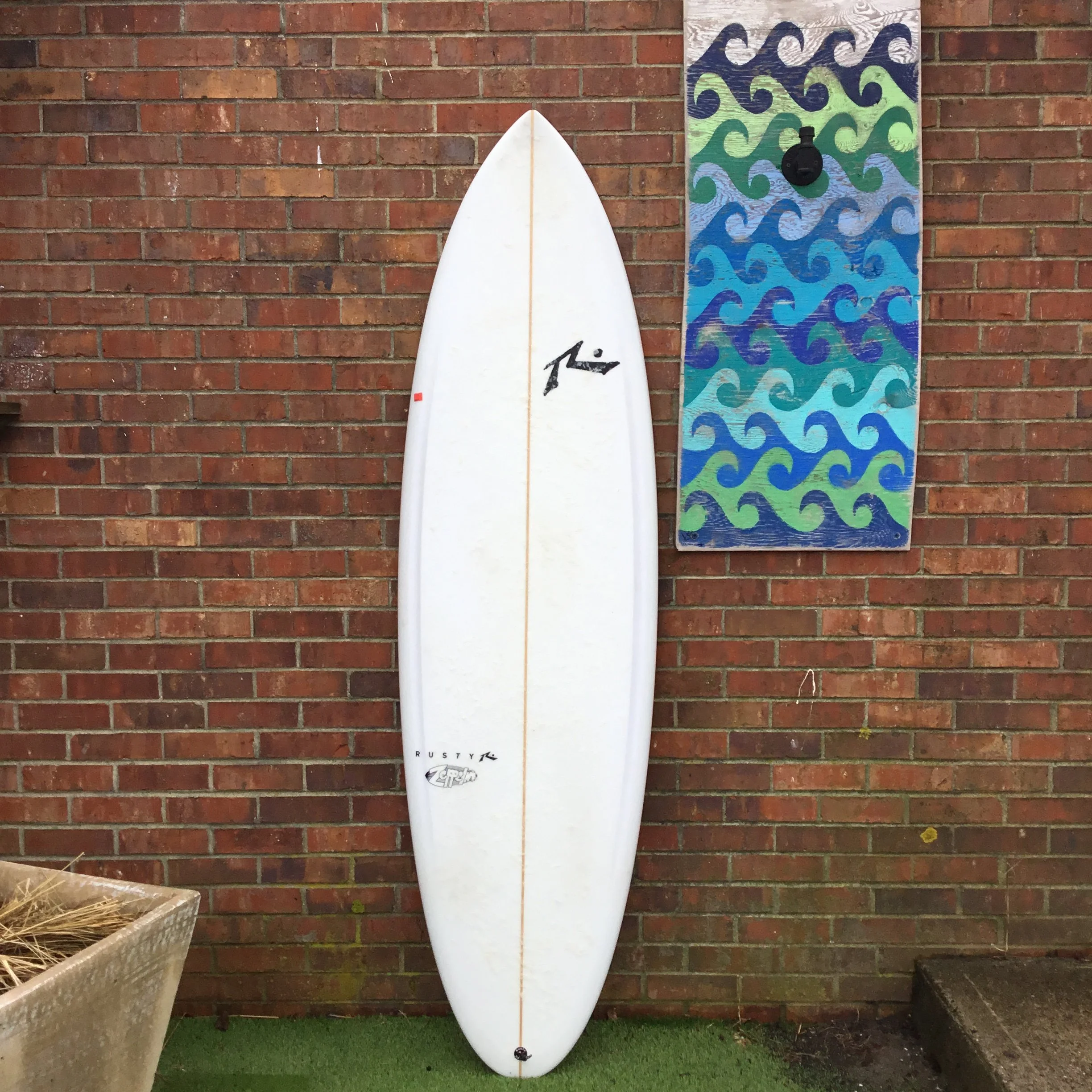 Surf Cam — Cinnamon Rainbows Surf Co.