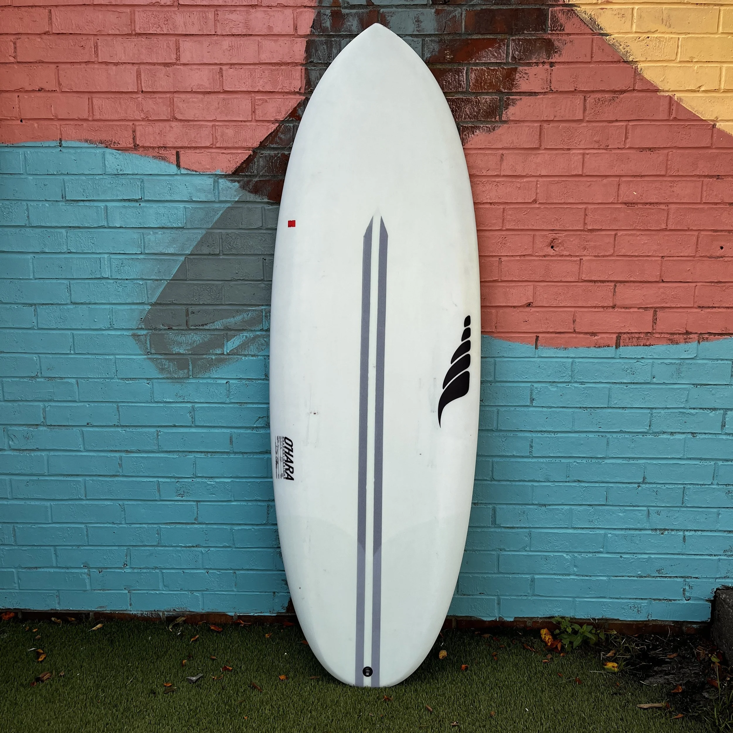 Surf Cam — Cinnamon Rainbows Surf Co.