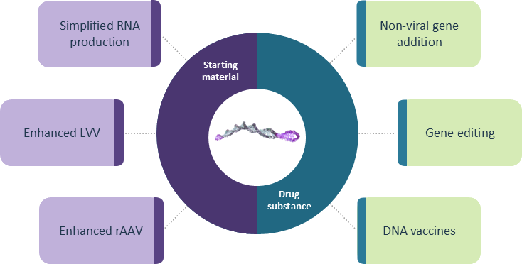 Platform — Mediphage Bioceuticals