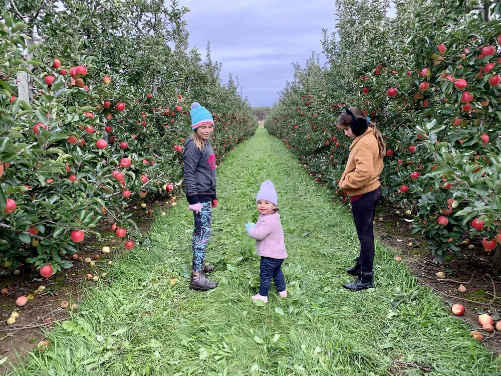 Ontario grown Apples for Sale U Pick and Picked — Great Lakes Farms
