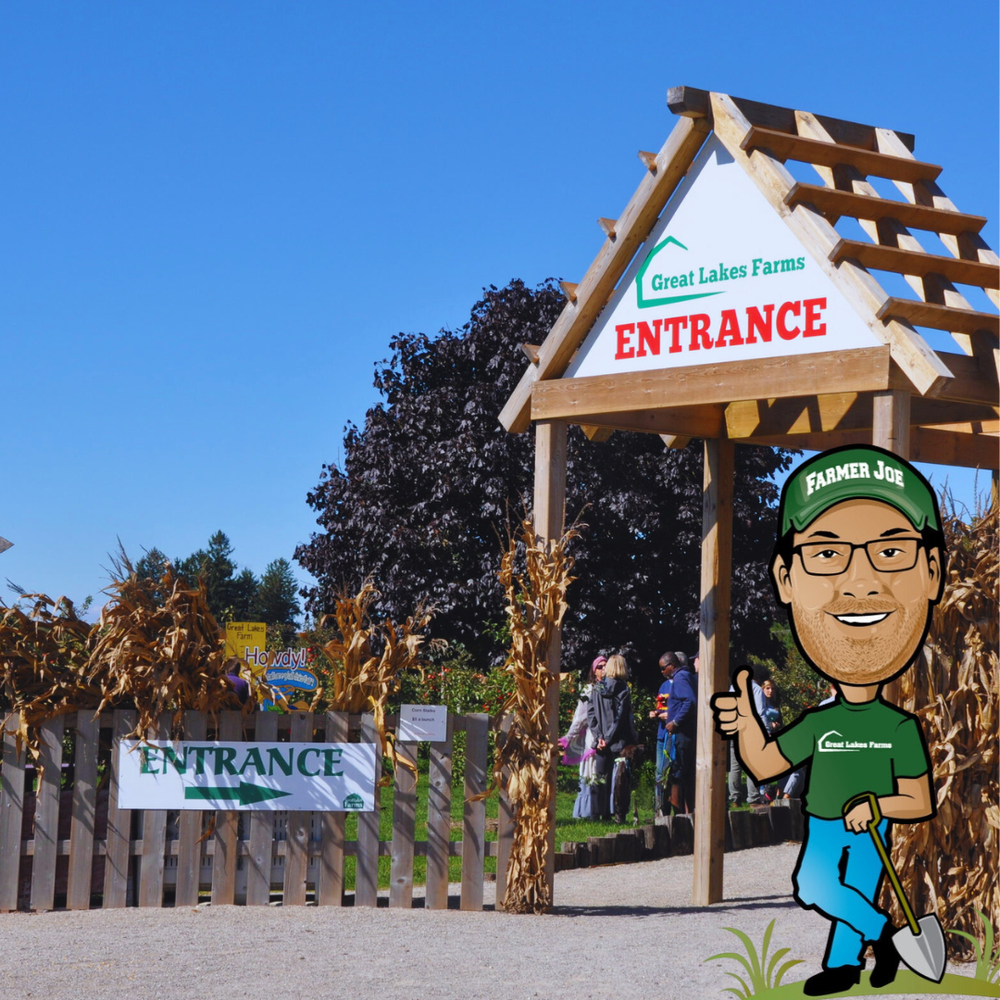 Family Fun Farm Attration — Great Lakes Farms