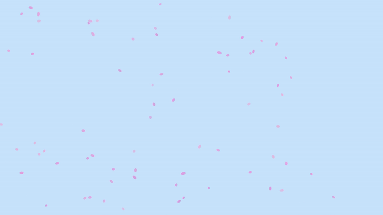 Transparent Falling Petals Gif
