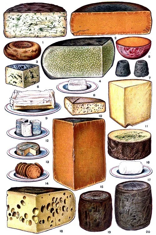 Cheese Traveler — Mrs. Beeton's Book…