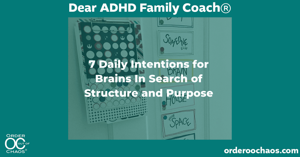 7 Daily Intentions for Brains In Search of Structure and Purpose ...