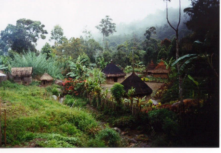 About PNG — The Highlands Foundation