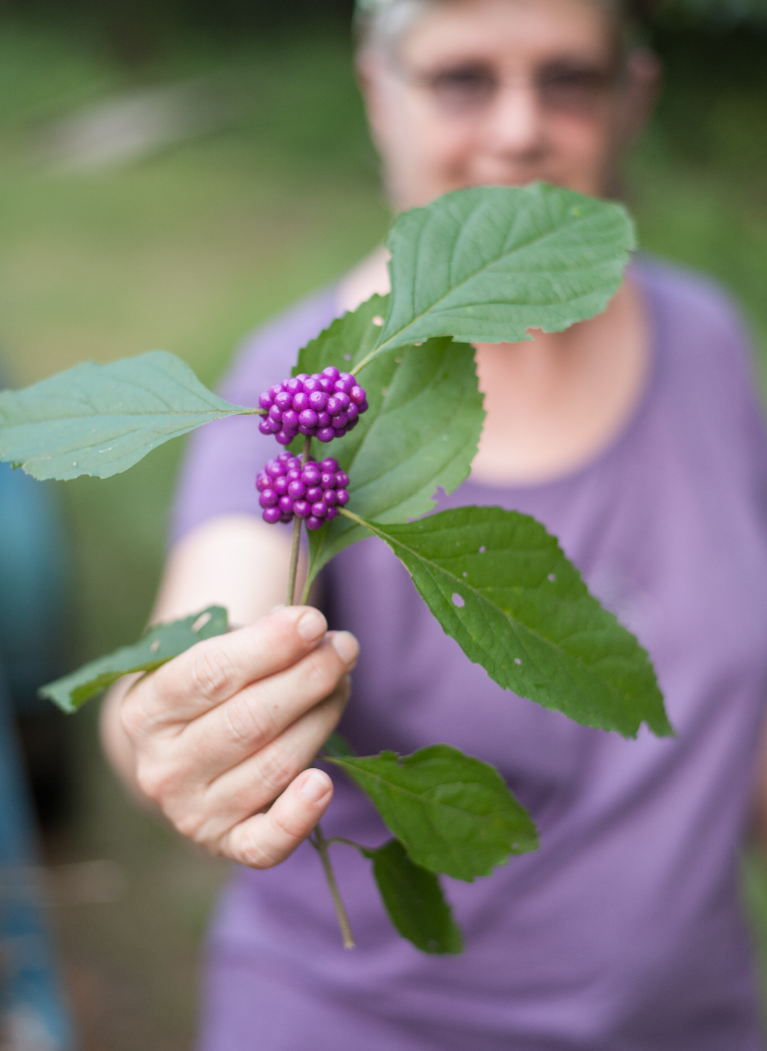 TEAM — Friends of Chakchiuma Swamp