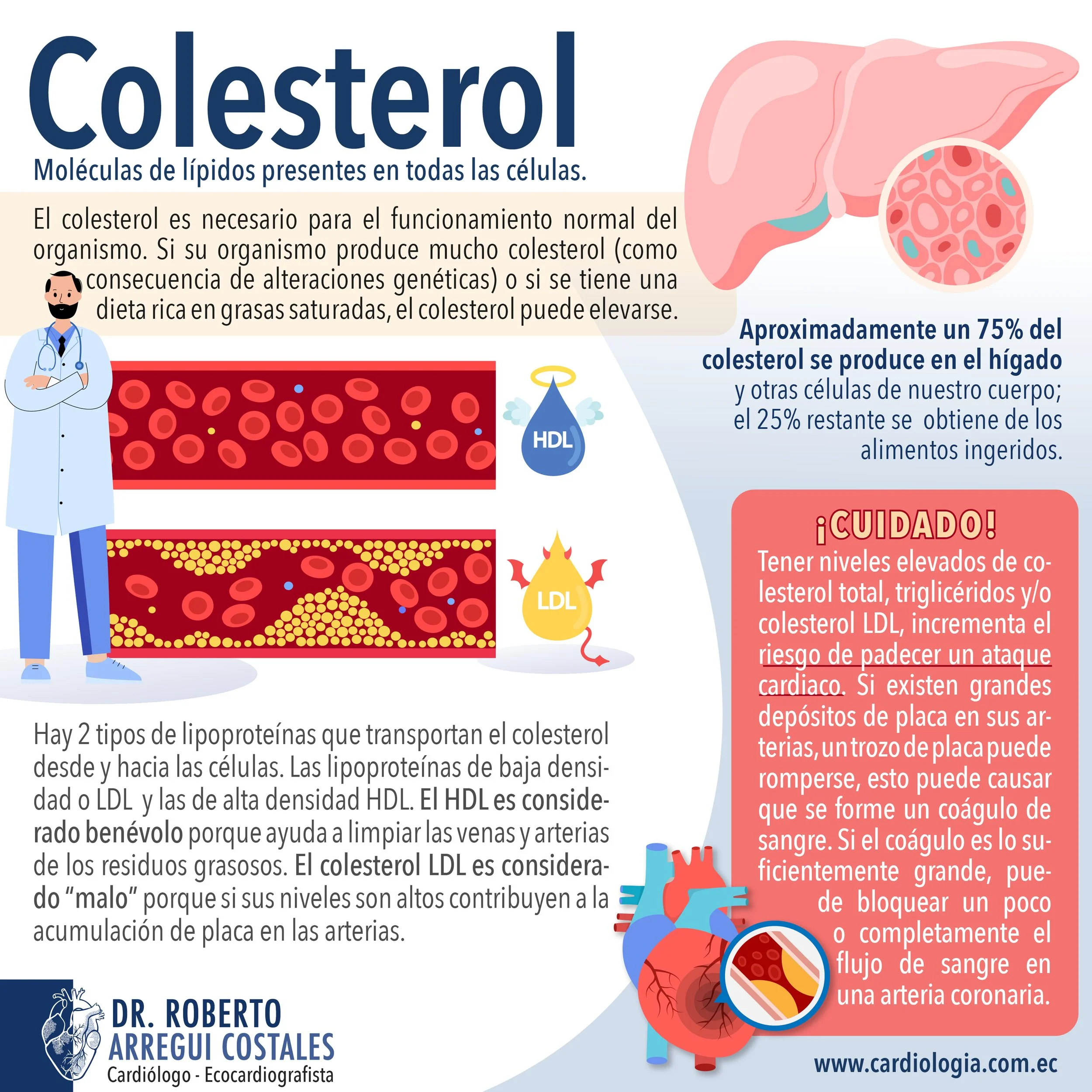 ¿Qué Es El Colesterol _ Como Saber Si Tienes Colesterol – EVUEL