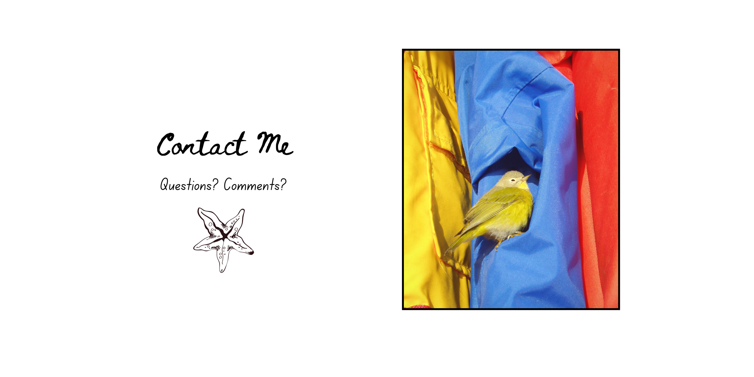 Alpha, Beta, Cheddar Readers — Brenna Sowder