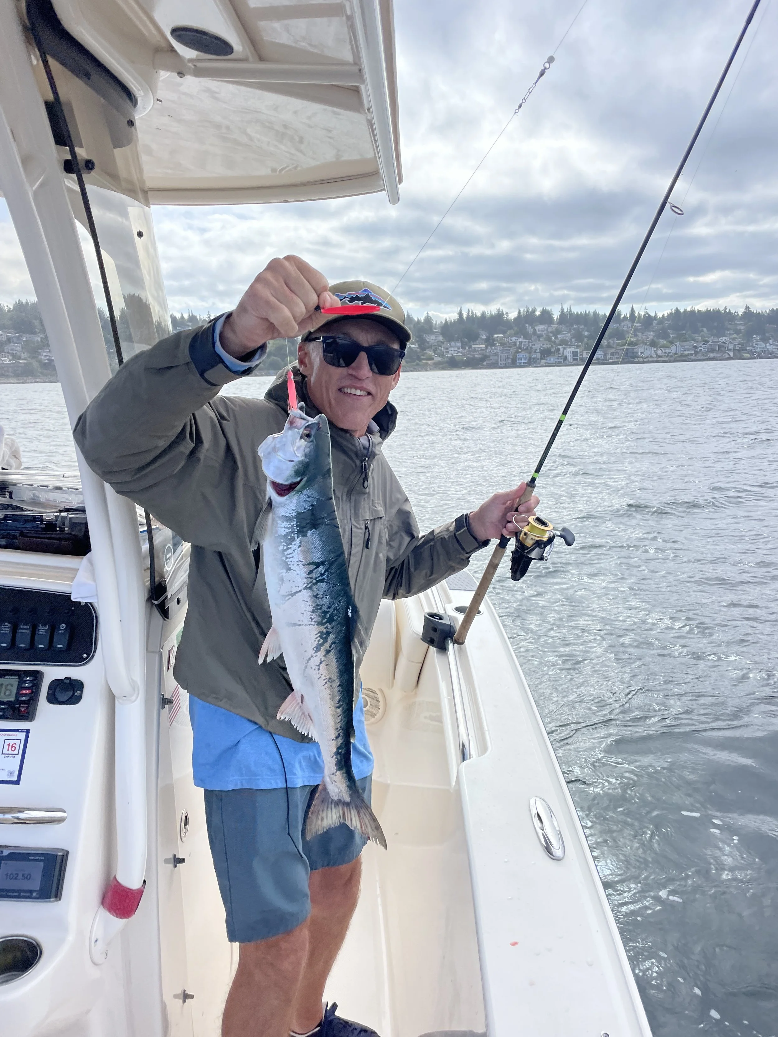 Puget Sound is full of Pink Salmon! Coho Salmon are just around the ...