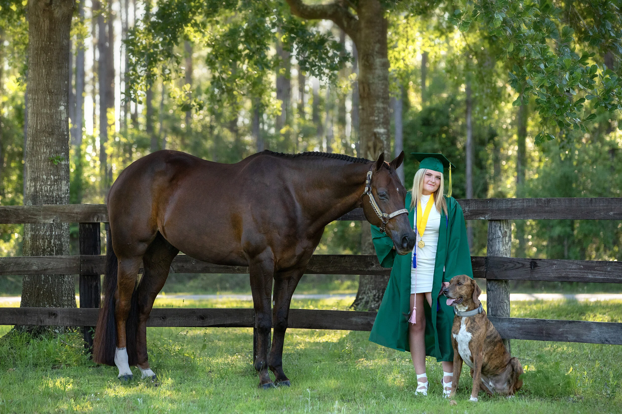 5 Tips for Choosing A Compelling Outfit for Your Equestrian Photo shoot ...