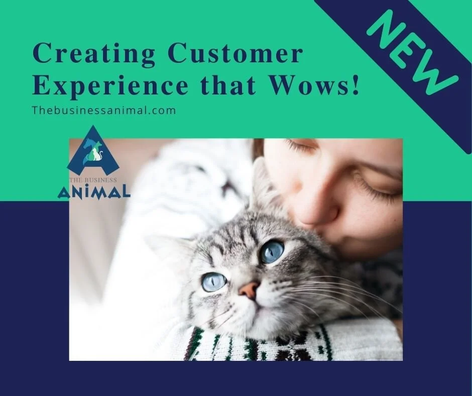 5 Reasons You Need to Follow The Business Animal Podcast to Boost your ...