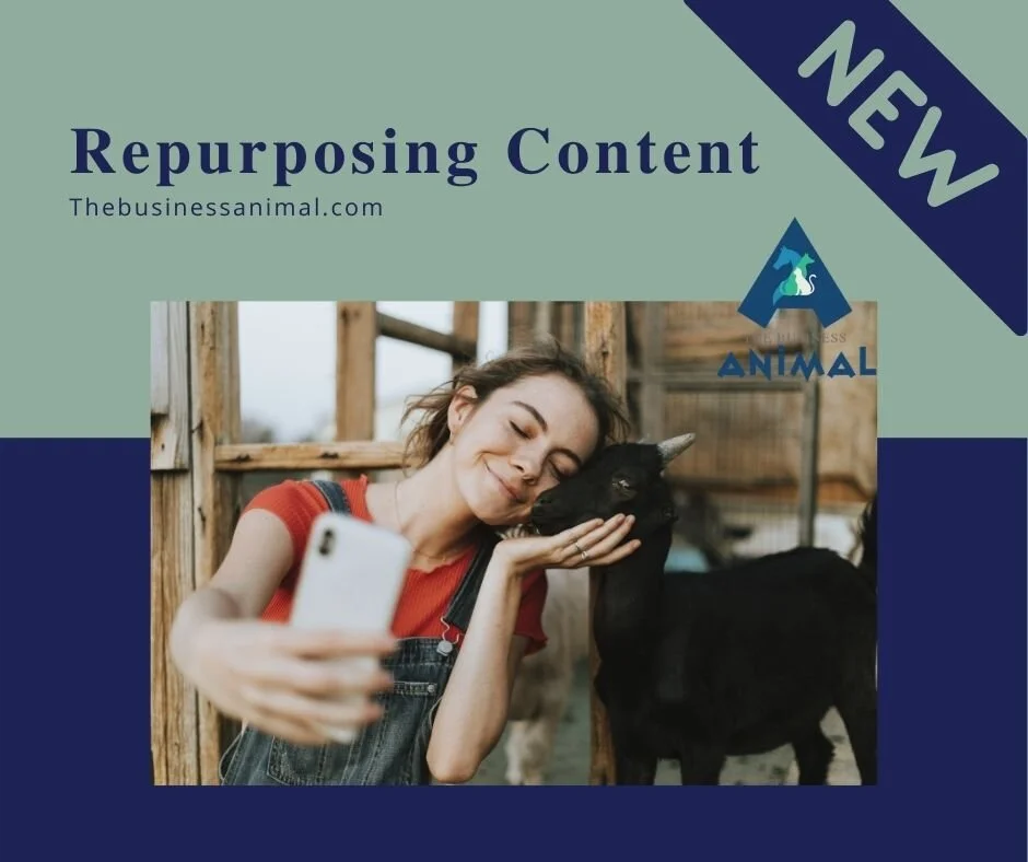 5 Reasons You Need to Follow The Business Animal Podcast to Boost your ...