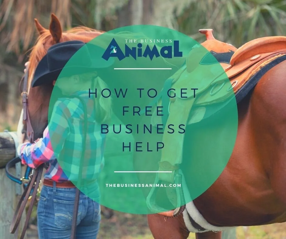 5 Reasons You Need to Follow The Business Animal Podcast to Boost your ...