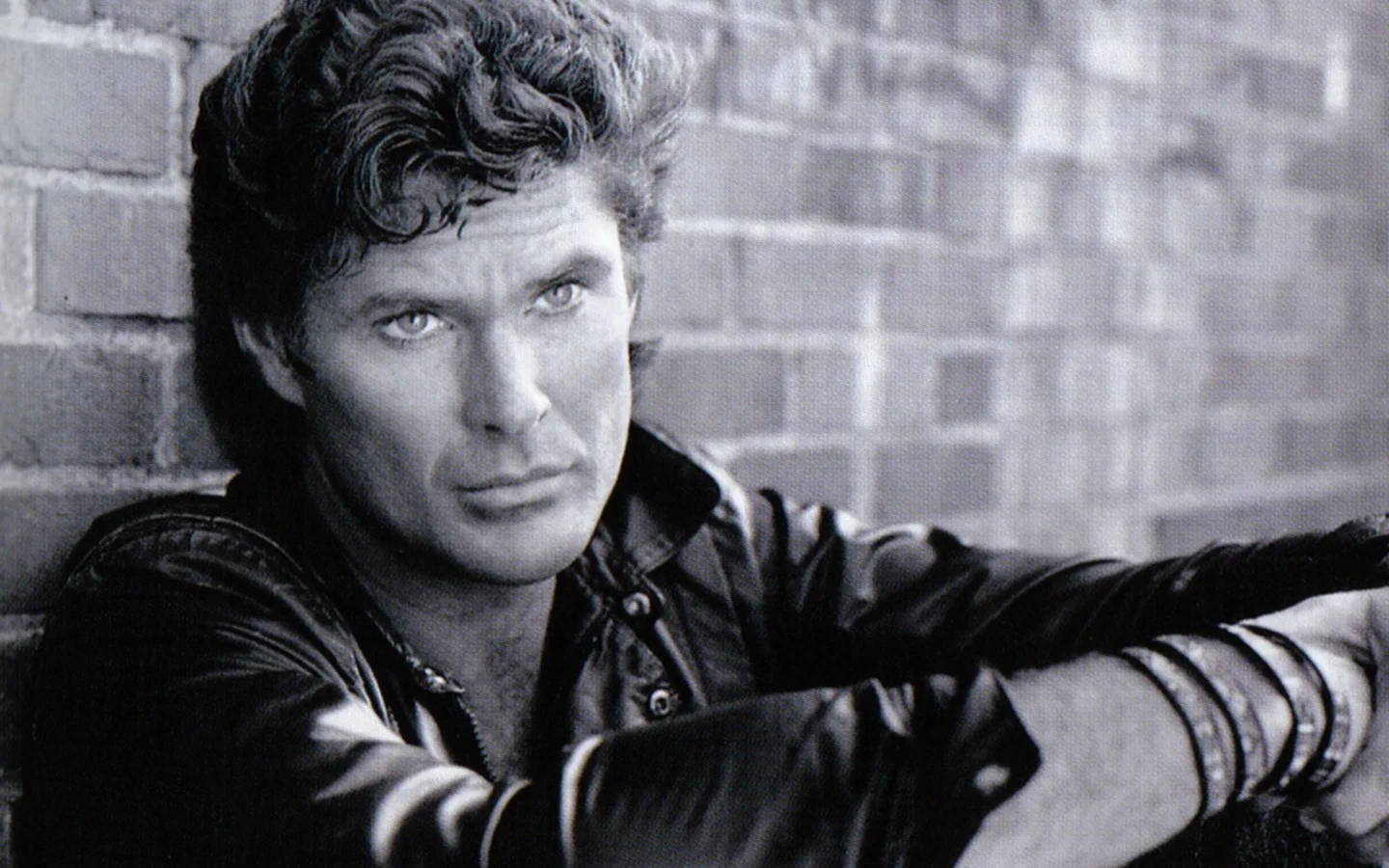 David Hasselhoff Wallpaper